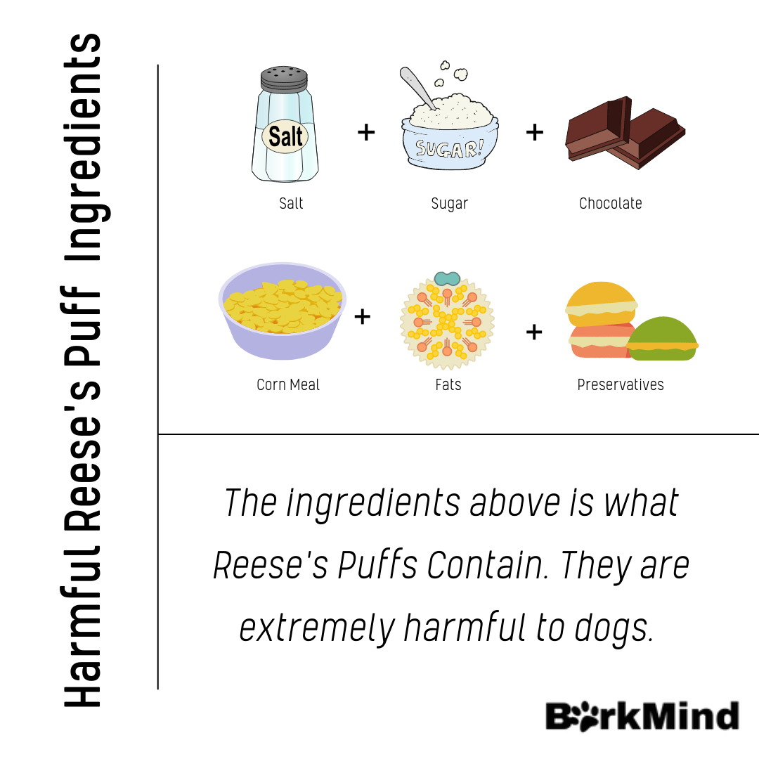 Can Dogs Eat Reese's Puffs? - Barkmind