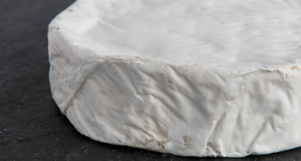 Can Dogs Eat Brie Cheese? Will He Get Sick? - Barkmind