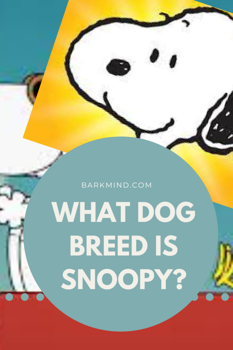 What Kind of Dog Breed Is Snoopy? Comic Revealed! - Barkmind