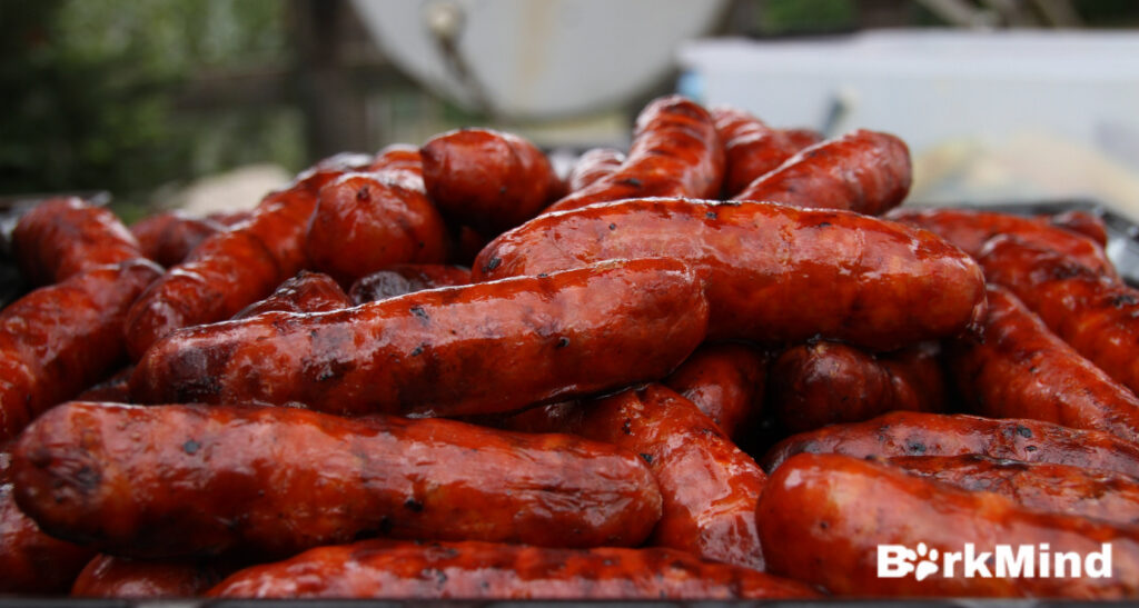 Can Dogs Eat Chorizo? Not Expected - Barkmind